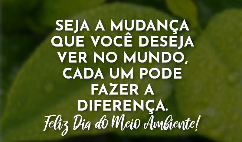 Vamos Agir E Cuidar Do Nosso Ambiente Com Amor Frases